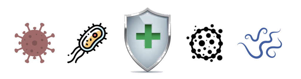 10 Steps Forward - The Guthy-Jackson Charitable Foundation